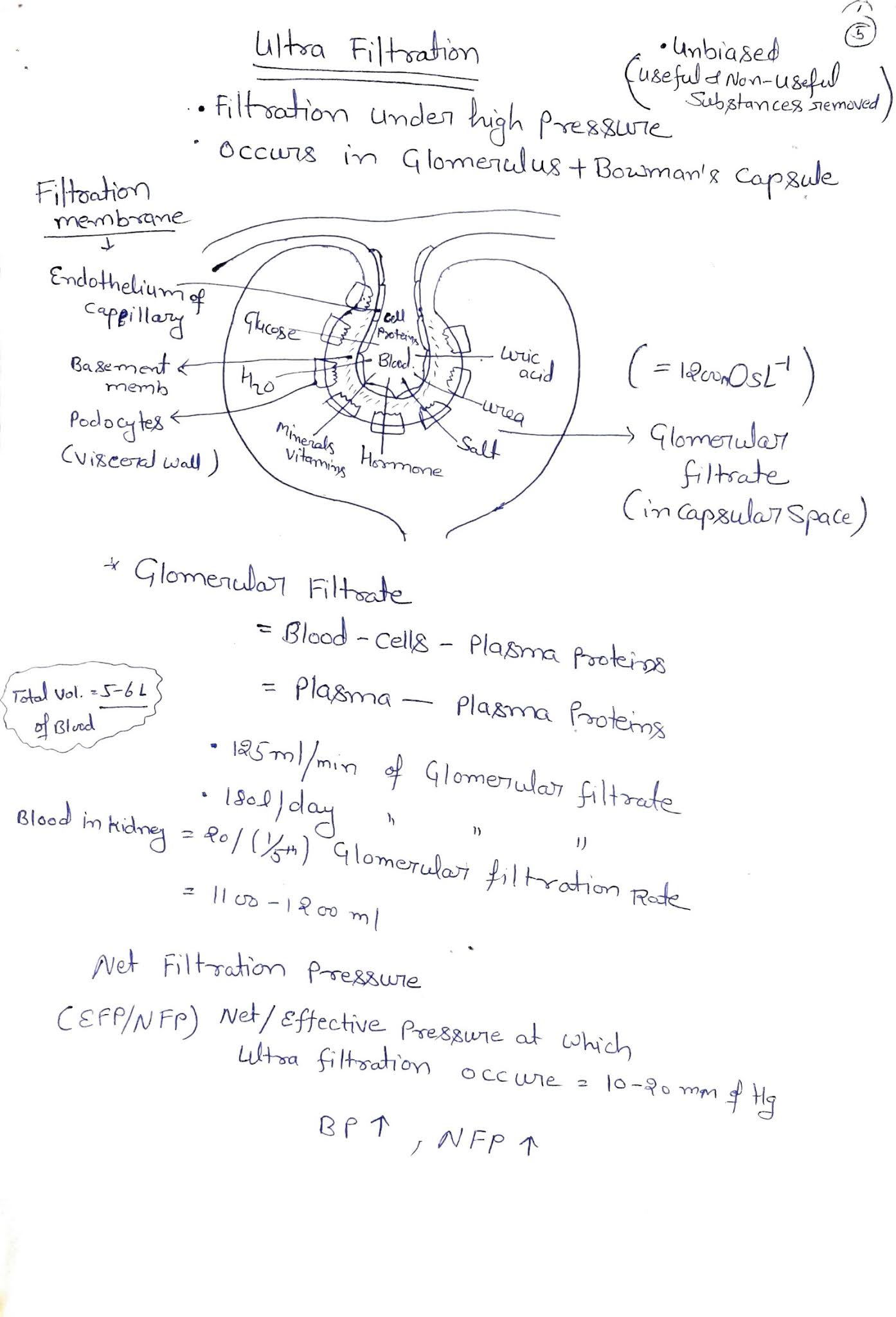 Excretory products and their Elimination class 11 - Studypur