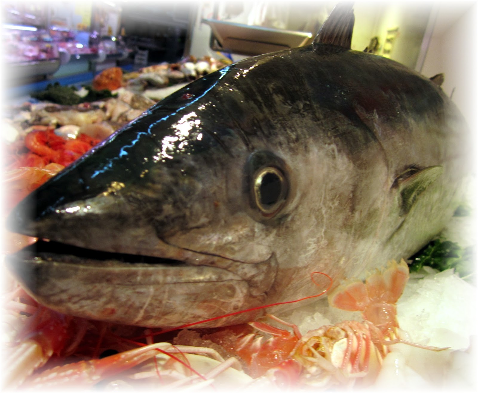 EL MILLOR PEIX: PER RECORDAR.......