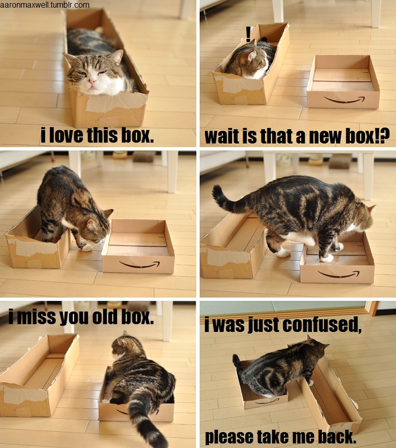 Maru and boxes (6 pics) | Amazing Creatures