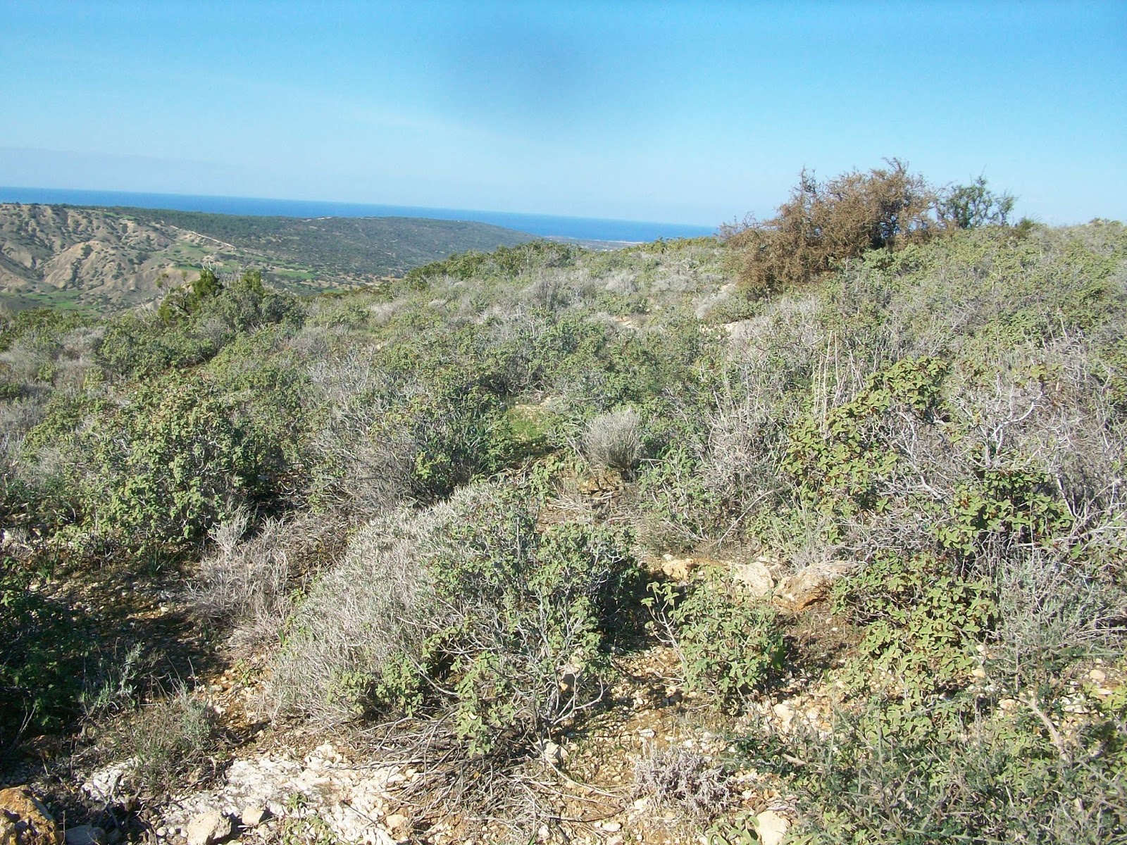 Gölge Gezgin: Cyprus Hiking 04 : Koruçam - Kayalar - Sadrazamköy