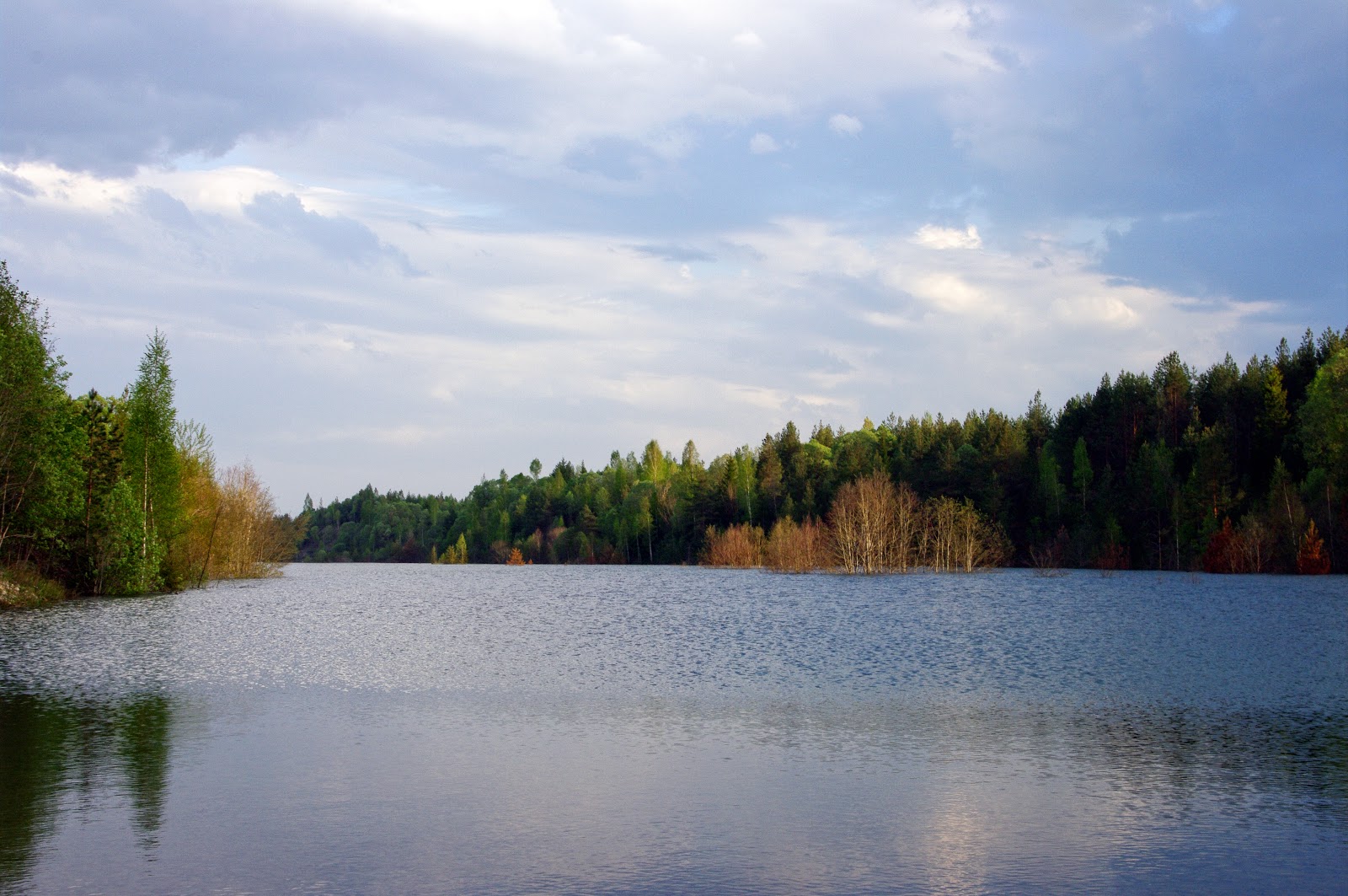 Kalevi pildiblogi: Aidu karjäär