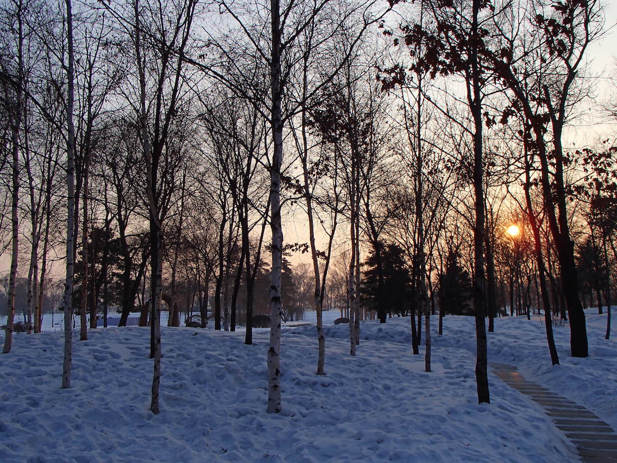 A Guide to: Harbin Ice and Snow Festival | Perfect Little Planet