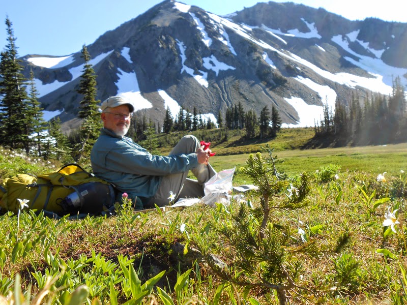 Val-Di-Ree: Obstruction Point to Dosewallips River, July 23-26, 2013