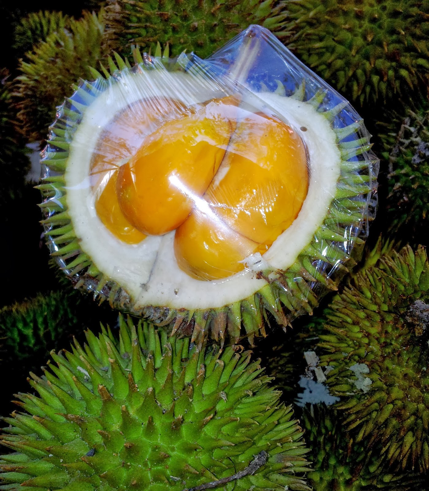 My Sarawak (3rd Ed.): Durian stops