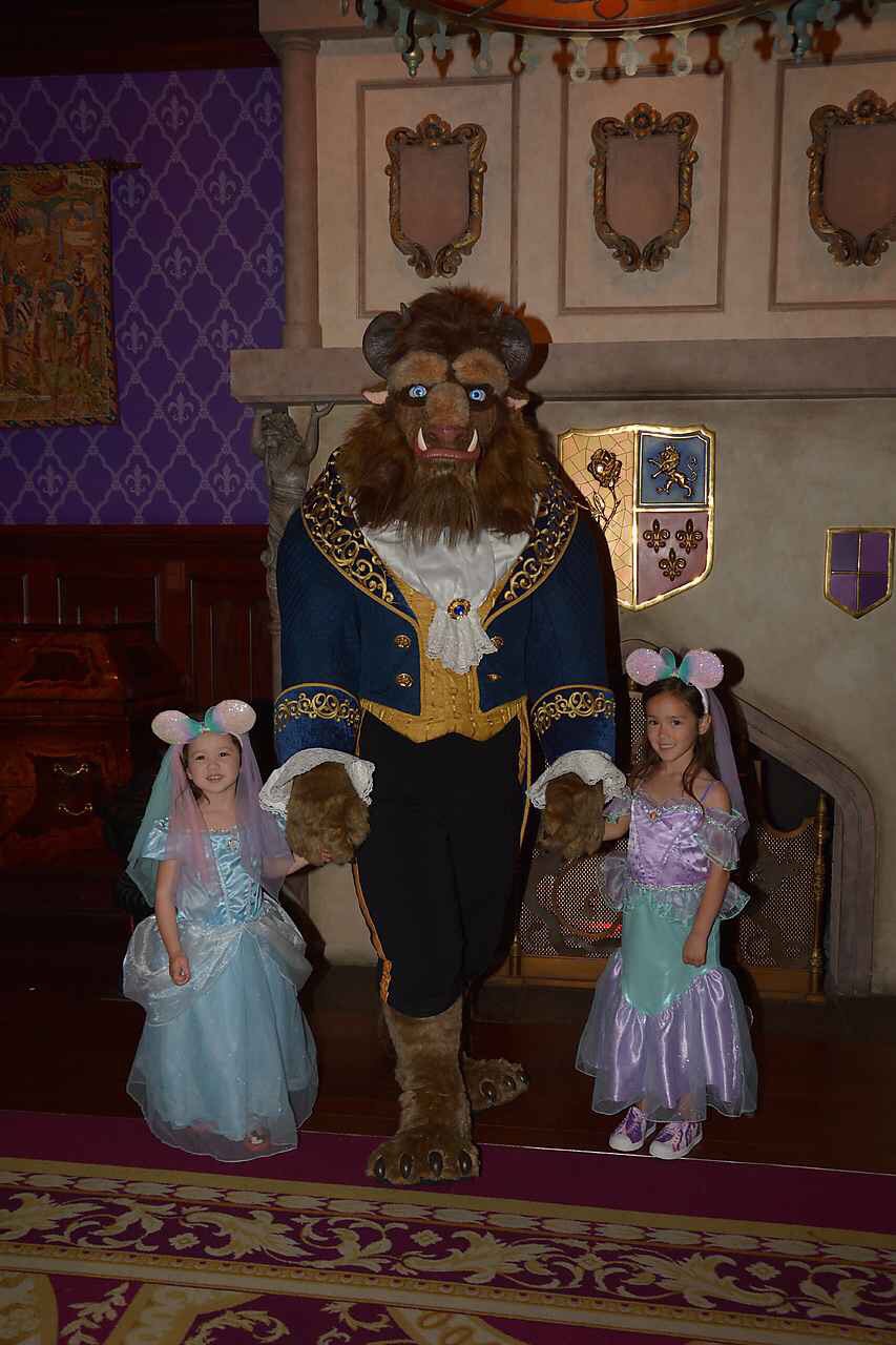 Three Gals and a Guy : Doing Disney in Just Over One Day