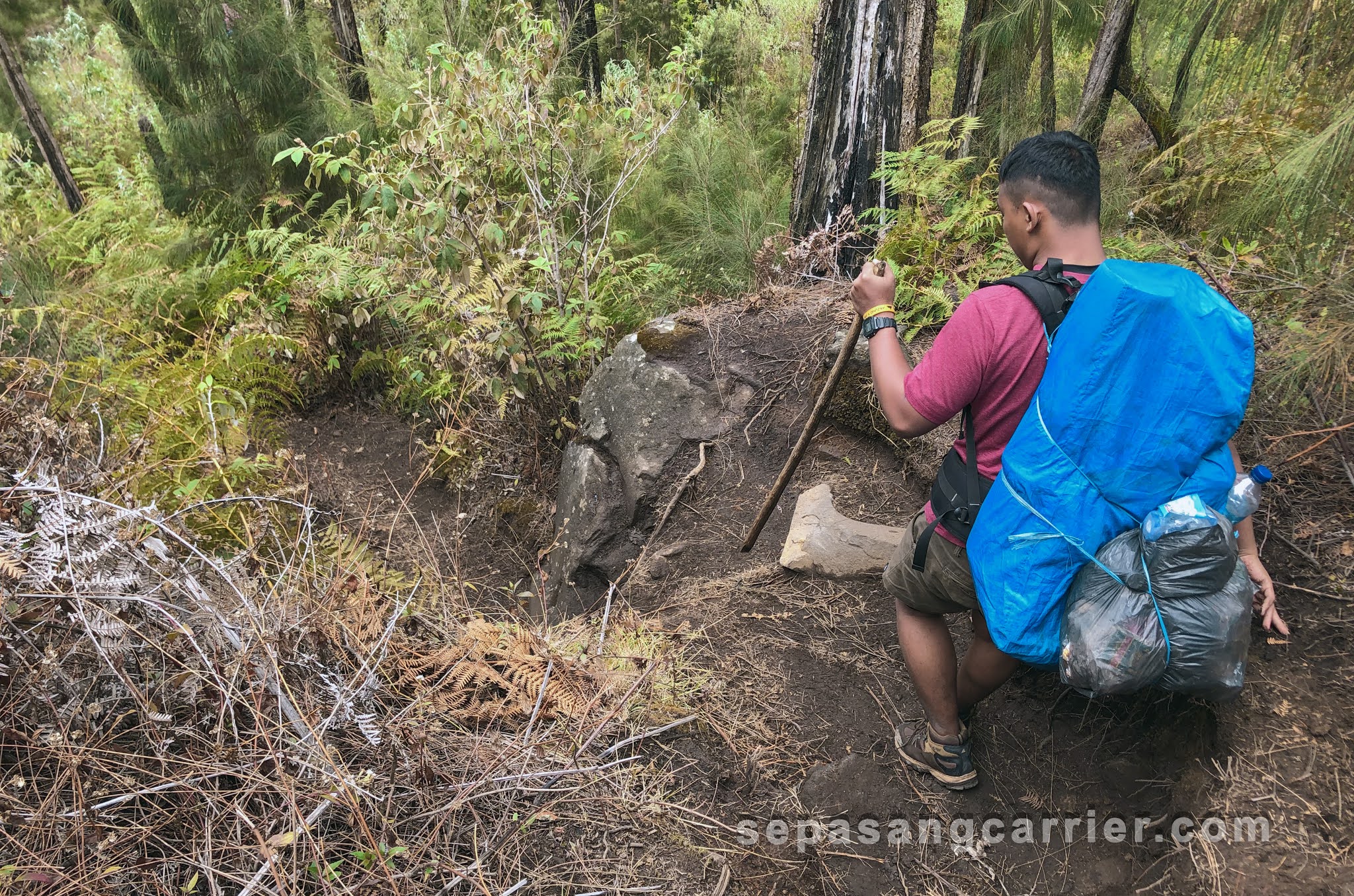 Pendakian Gunung Arjuno Via Cangar Sumber Brantas - SEPASANGCARRIER
