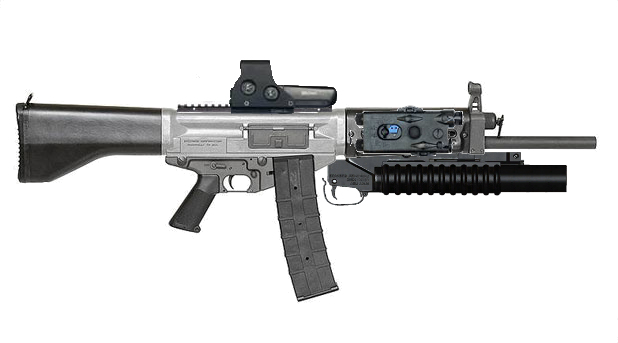 Punch the Rabbit: BOOK OF STONE: USAS-12