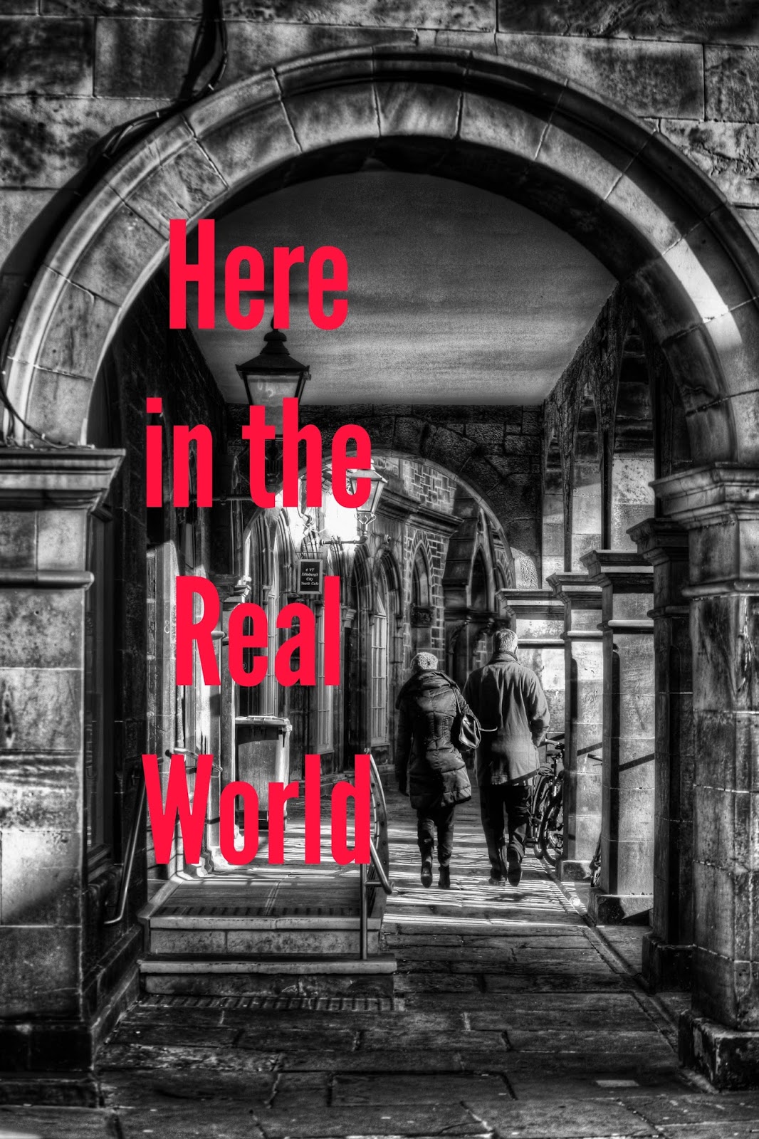 Broads of a Feather: Who Says Chick Books are Bad? by Robin Janney