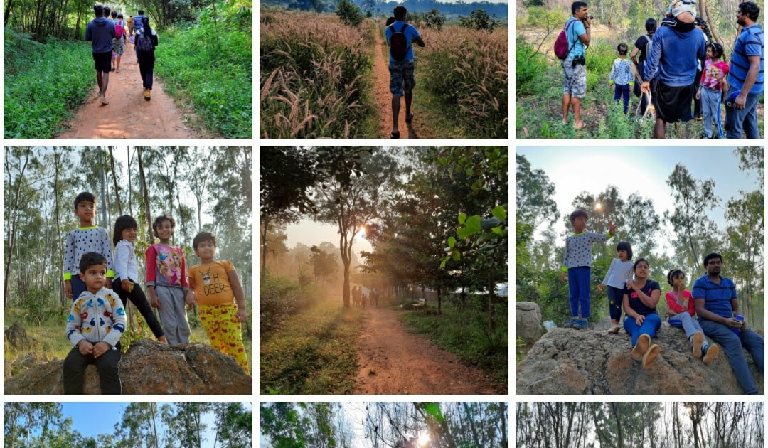 Sarathy the Traveler