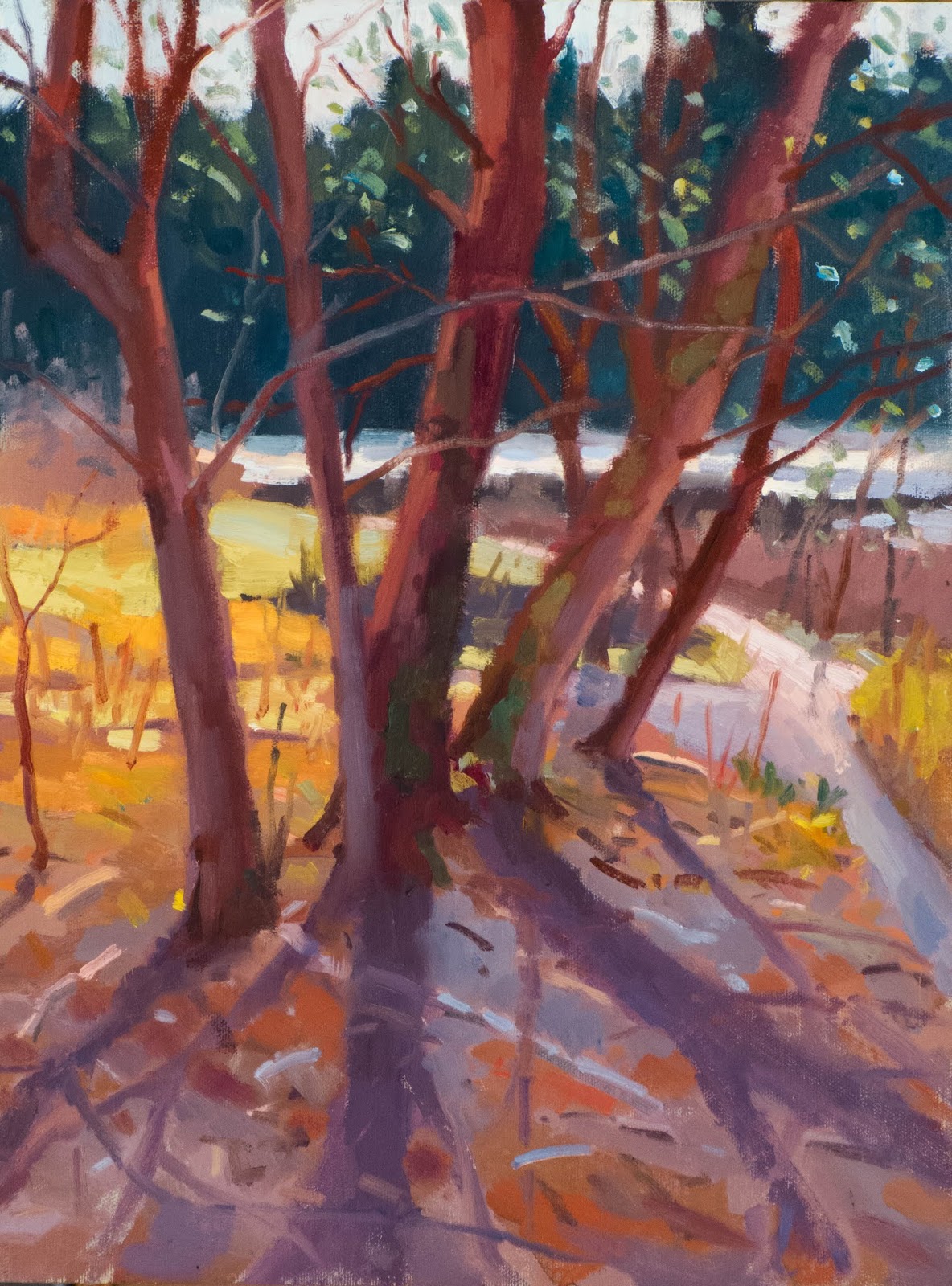 Darrell Anderson's Paintings, Marker Drawings and Prints