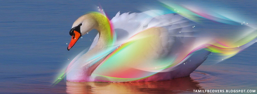 My India FB Covers: Magical rainbow duck - Colourful FB Cover
