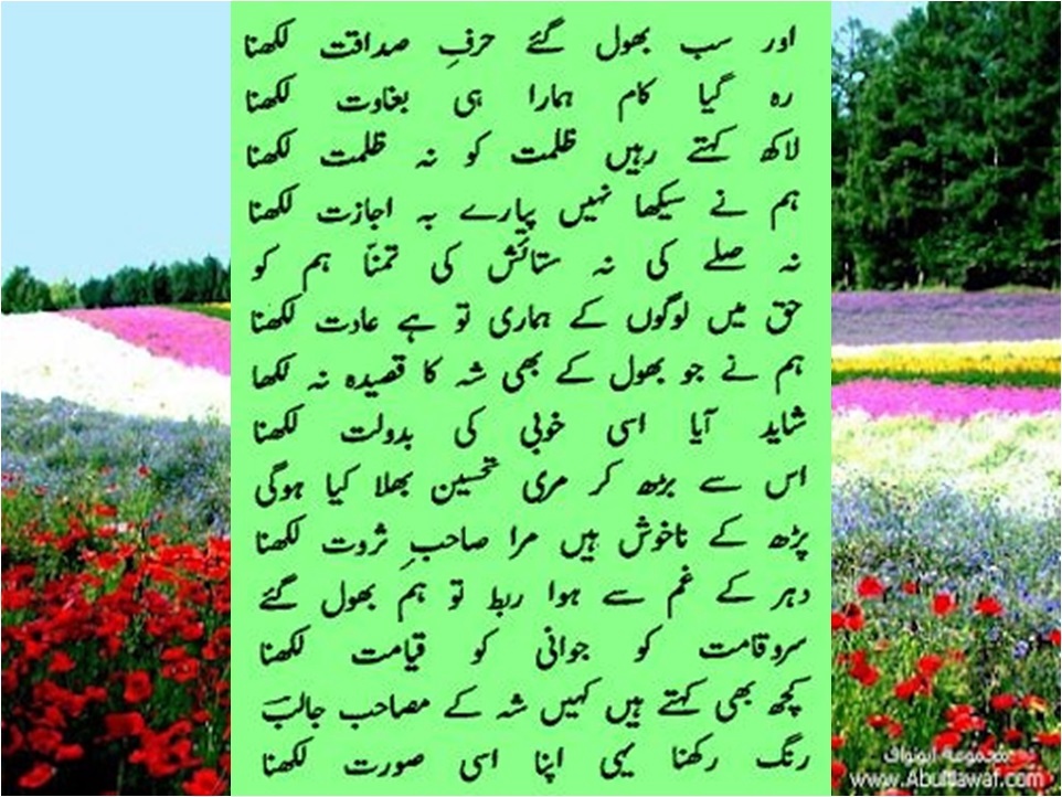 Revolutionary Poetry Of Habib Jalib