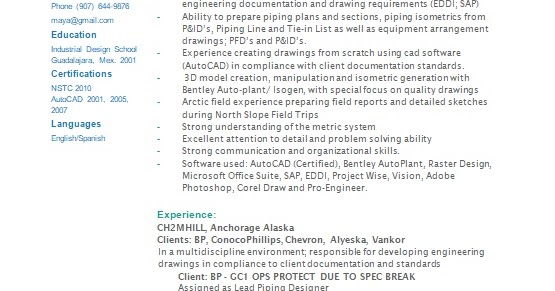 Piping Designer Sample Resume Format in Word Free Download