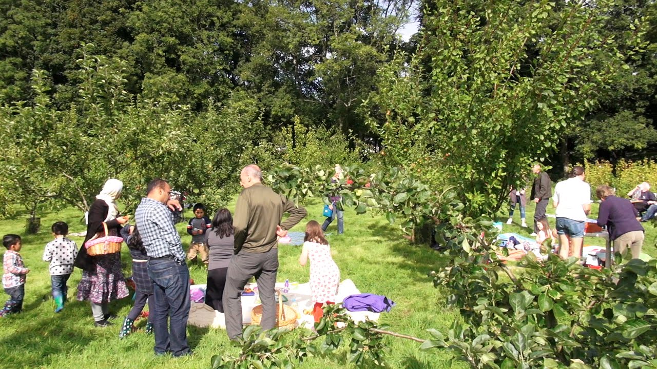 COMMUNITY ORCHARD