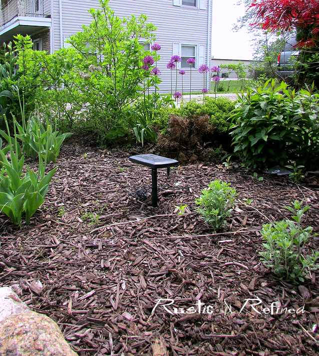 Early Spring Garden Tour | Rustic & Refined