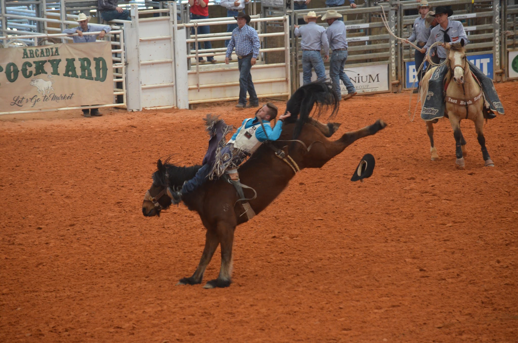 the other paper: Arcadia All-Florida Championship Rodeo Is A Bucking ...
