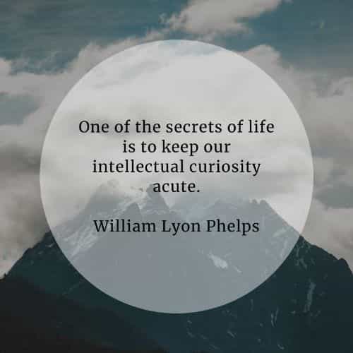 60 Curiosity quotes that'll help you achieve great things
