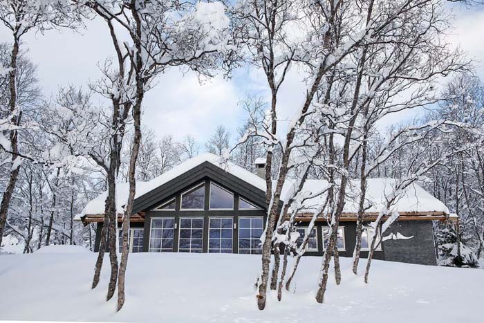 Keltainen talo rannalla: Puu pääosassa