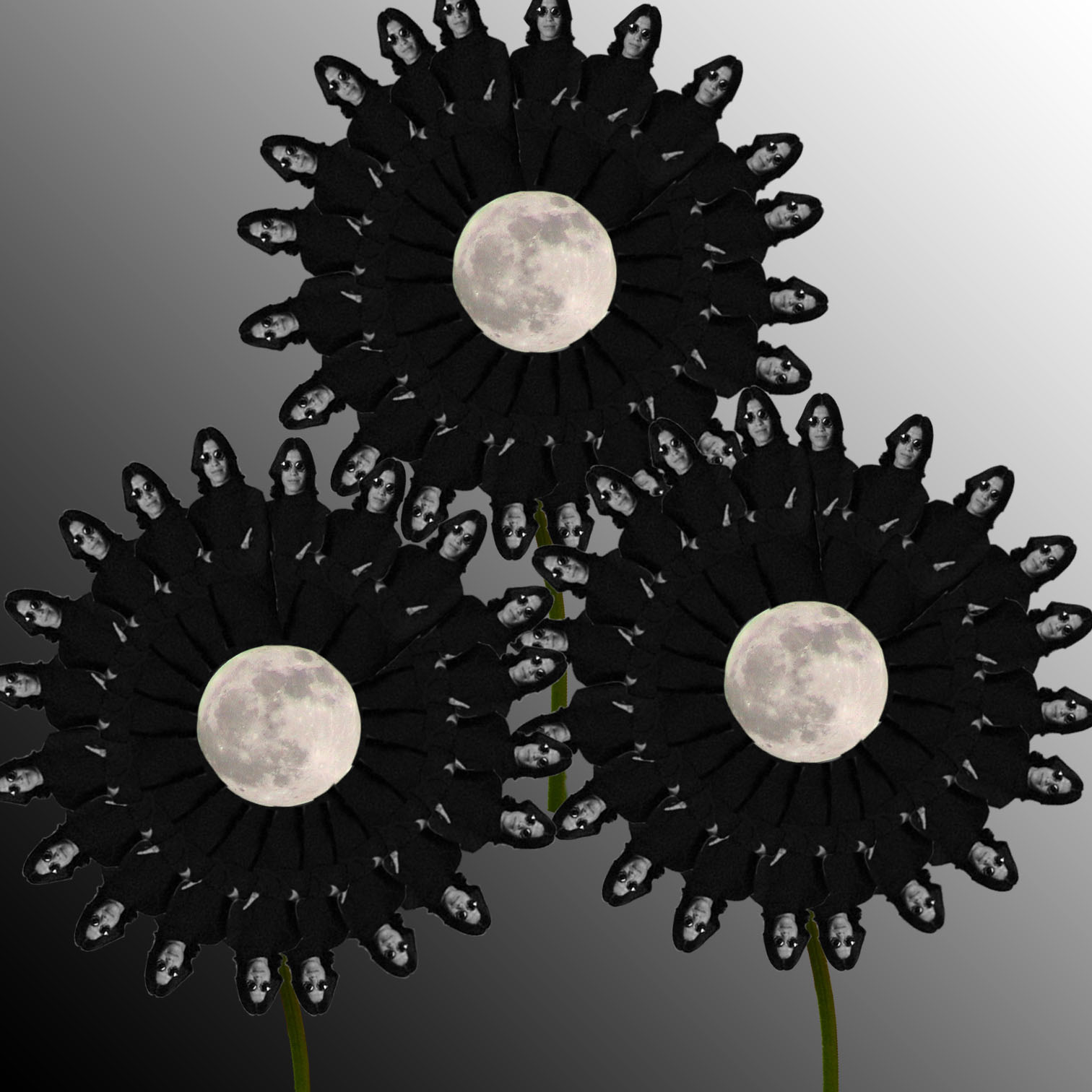 DIvAGACIONES Y OTRAS PENDEJADAS: Flores