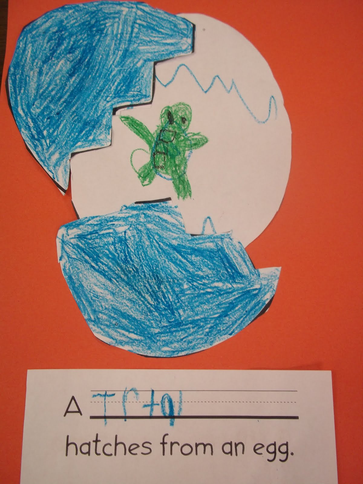 Mrs. Wood's Kindergarten Class: Oviparous Animals