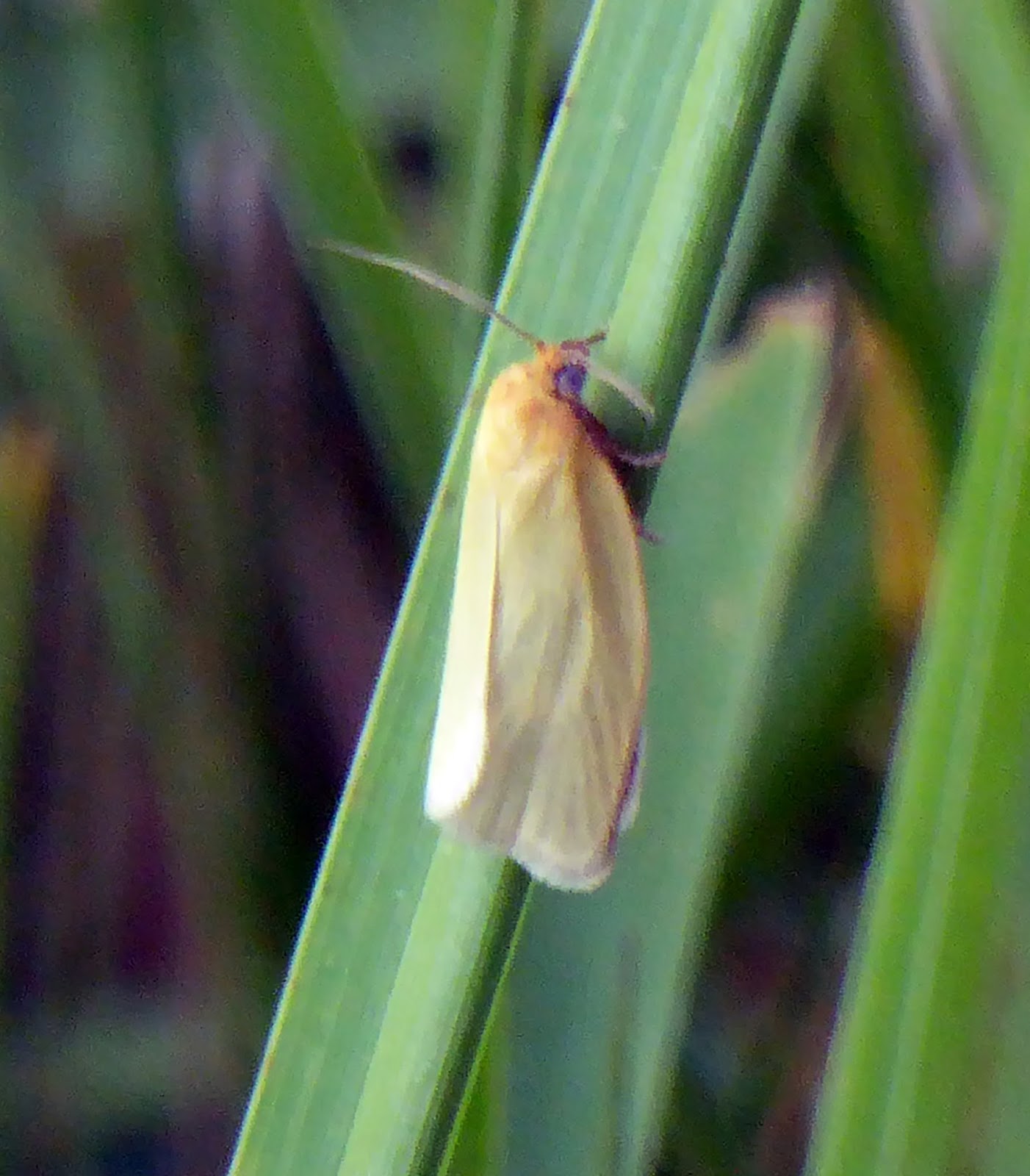 Wild and Wonderful: September 2017