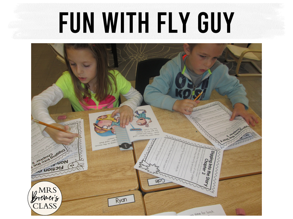 We LOVE Fly Guy! | Fly Guy Books and Reading Activities | Mrs. Bremer's ...
