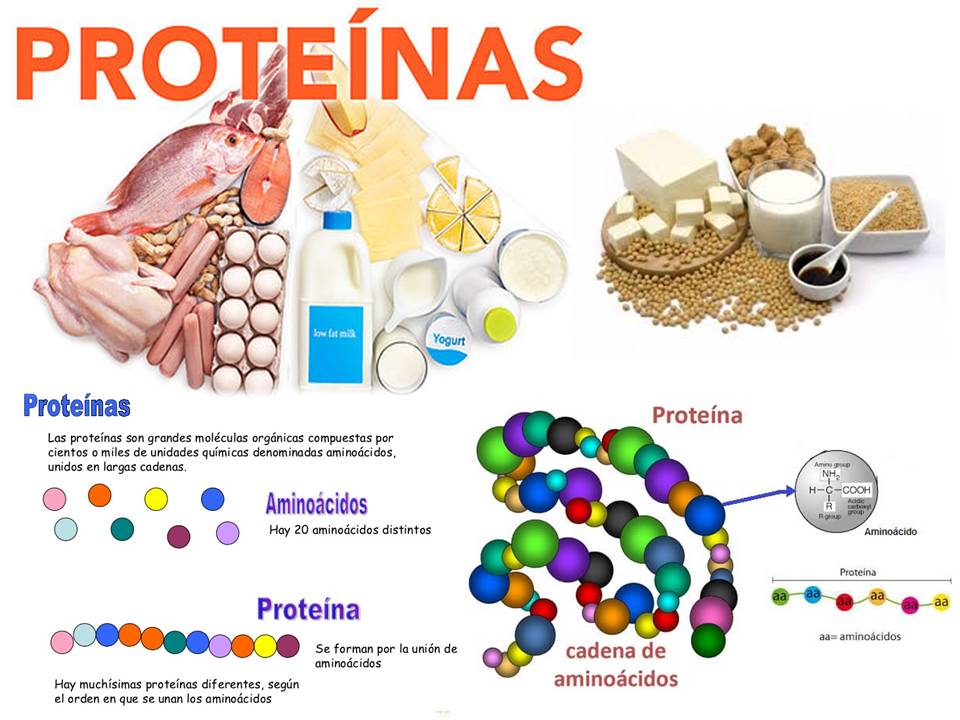 ProteÍnas Y AminoÁcidos En La AlimentaciÓn Y La Salud