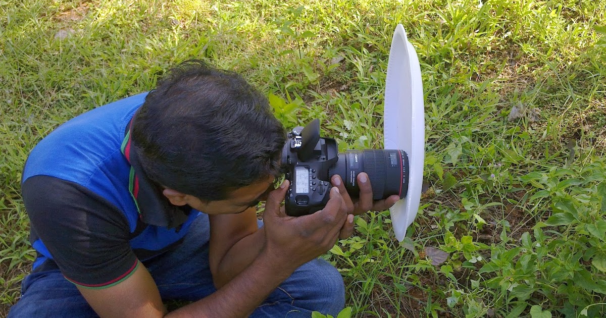 School Of Digital Photography: Diy Flash Diffuser for Macro Photography ...