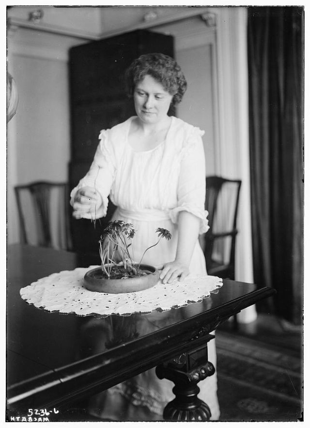 Minnesota’s Nightingale: Intimate Photos of Florence MacBeth at Home in ...