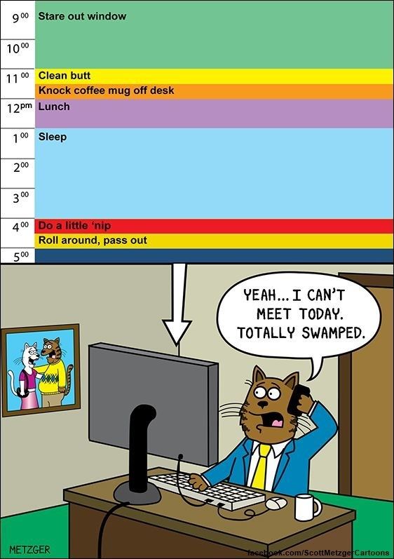 Team Building Talk: Cartoon of the Day: The Schedule