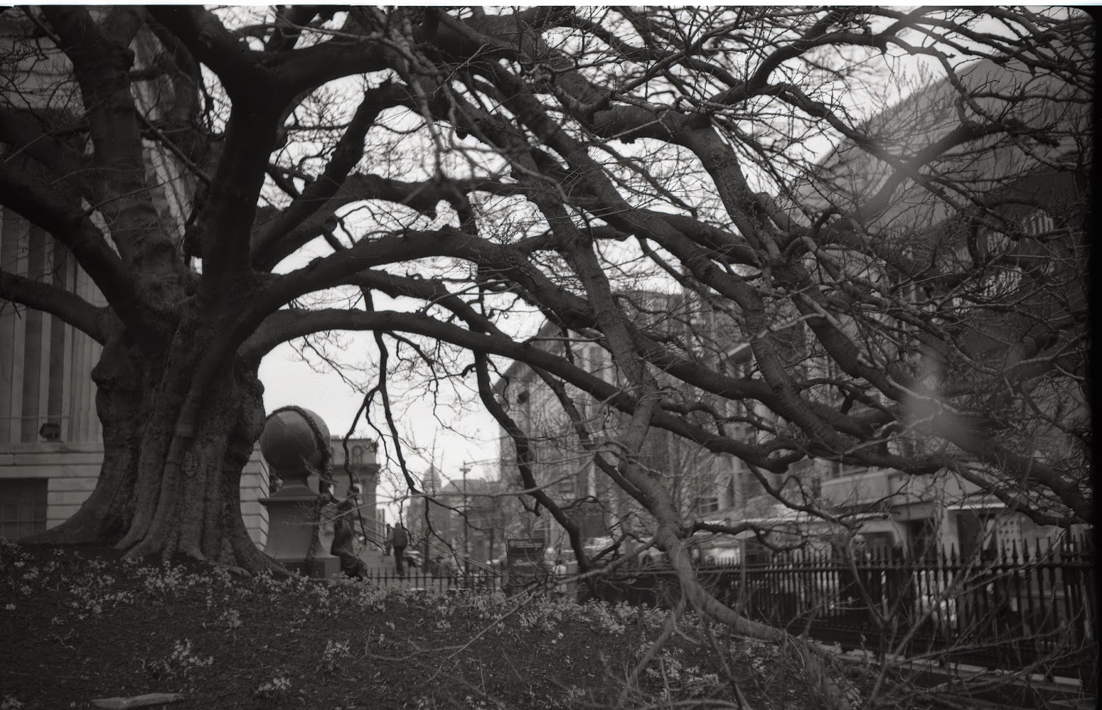 A Quirky Guy with a Camera: Fun with Film: Efke 50