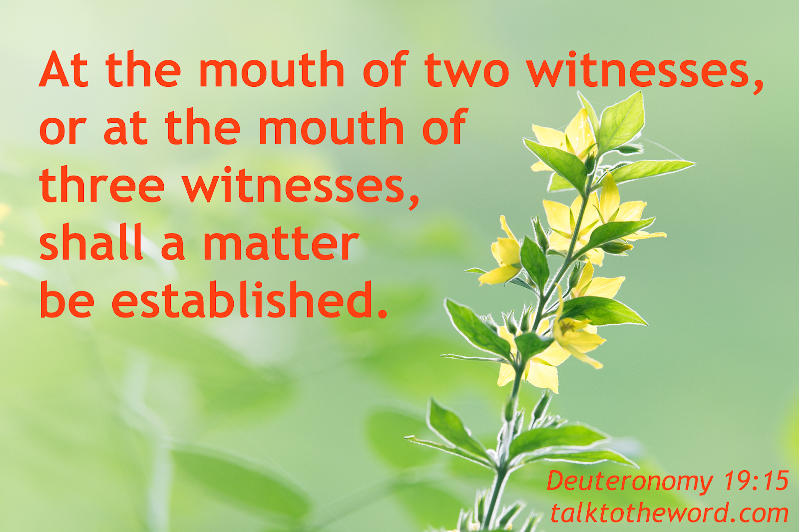 Deuteronomy 19:15-19