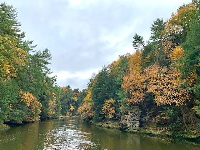 Amy's Creative Pursuits: A Fall Ride On The Upper Dells Boat Tour