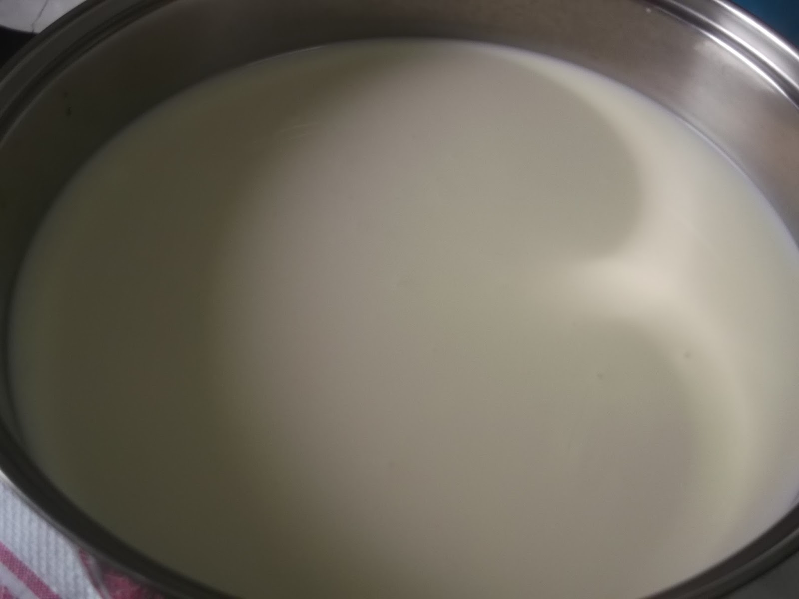 Hellena ...din bucataria mea...: Cas din lapte de vaca