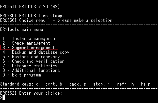 Table Reorg using Brtools - SAP Basis Genie