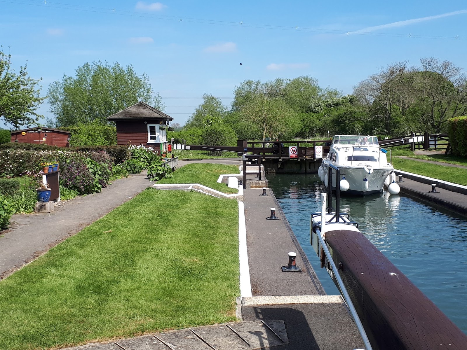 and Millie makes three: Above Eynsham Lock (River Thames) – Wednesday ...