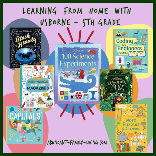 Abundant Family Living: Usborne Books
