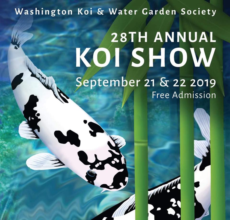 Seattle Garden & Fruit Adventures: 2019 28th Annual Koi Show by ...
