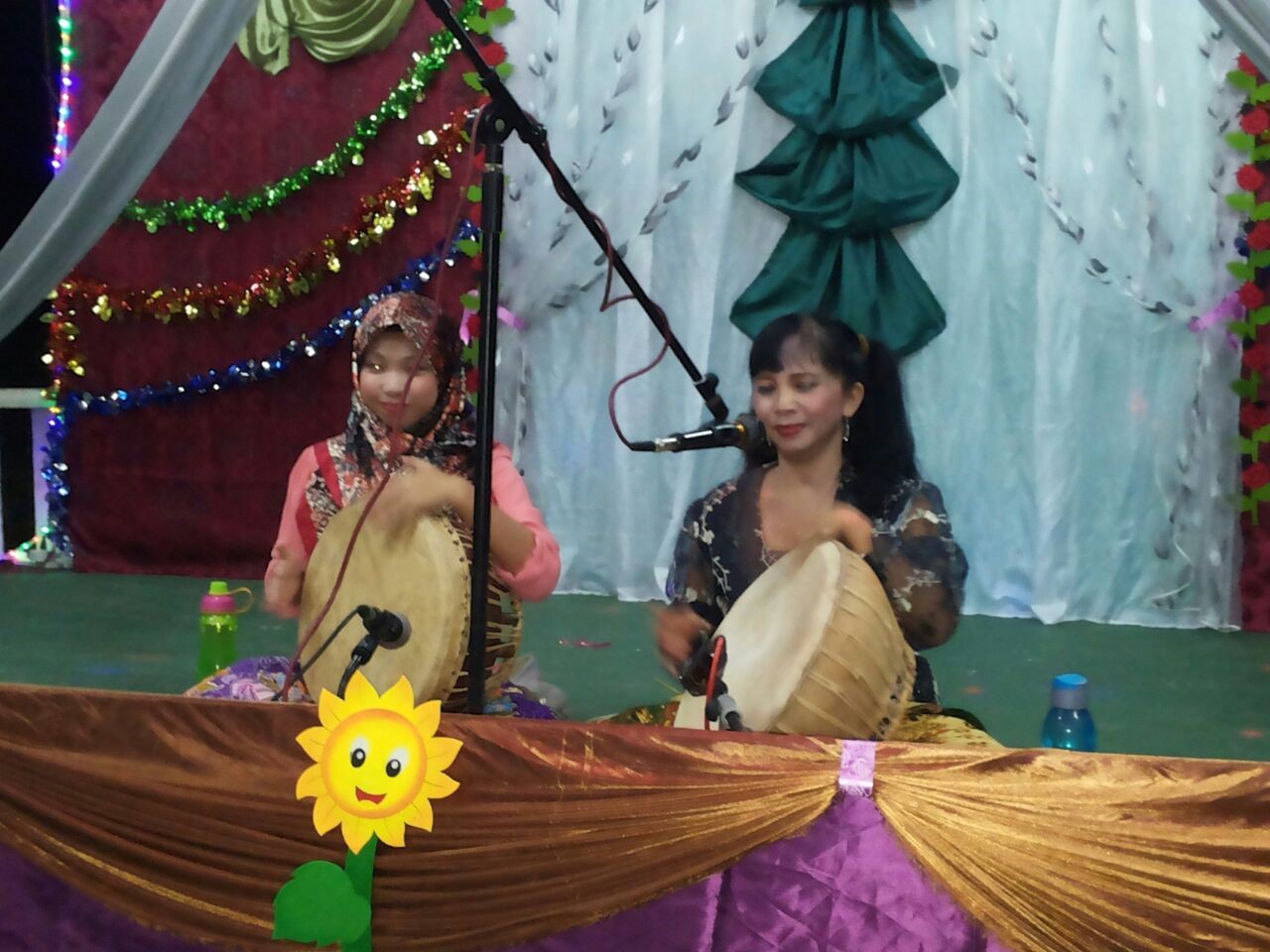 Paku Midin: Bertandak atau Bermukun Sarawak