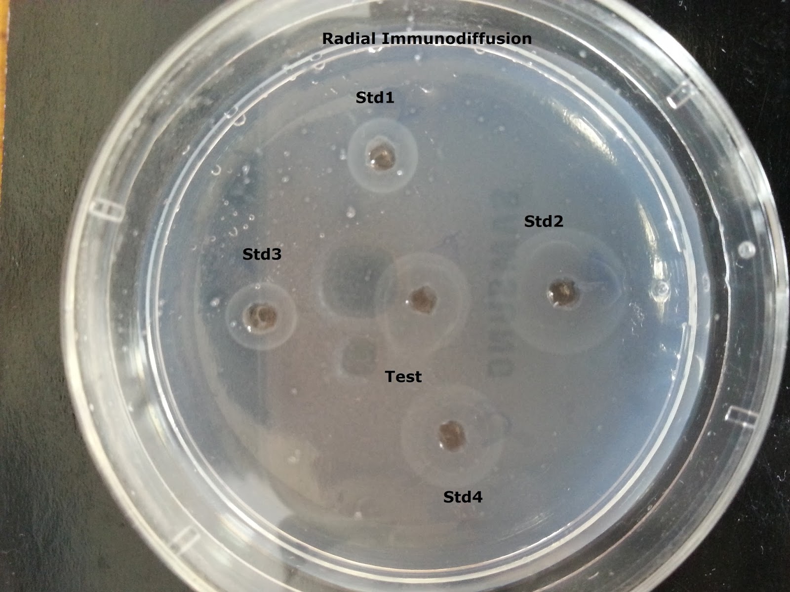 Snapshots of Genetics experiments | Department of Biotechnology -Sir MVIT