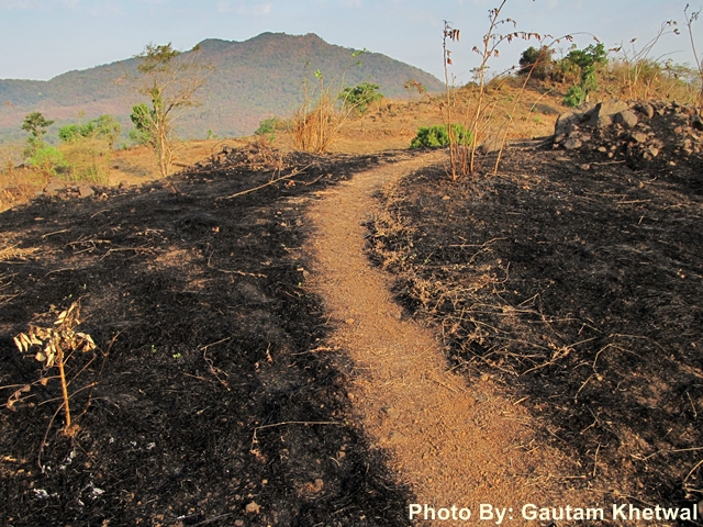 Yeoor Hills, SGNP, Thane: Scenic points in Yeoor Hills