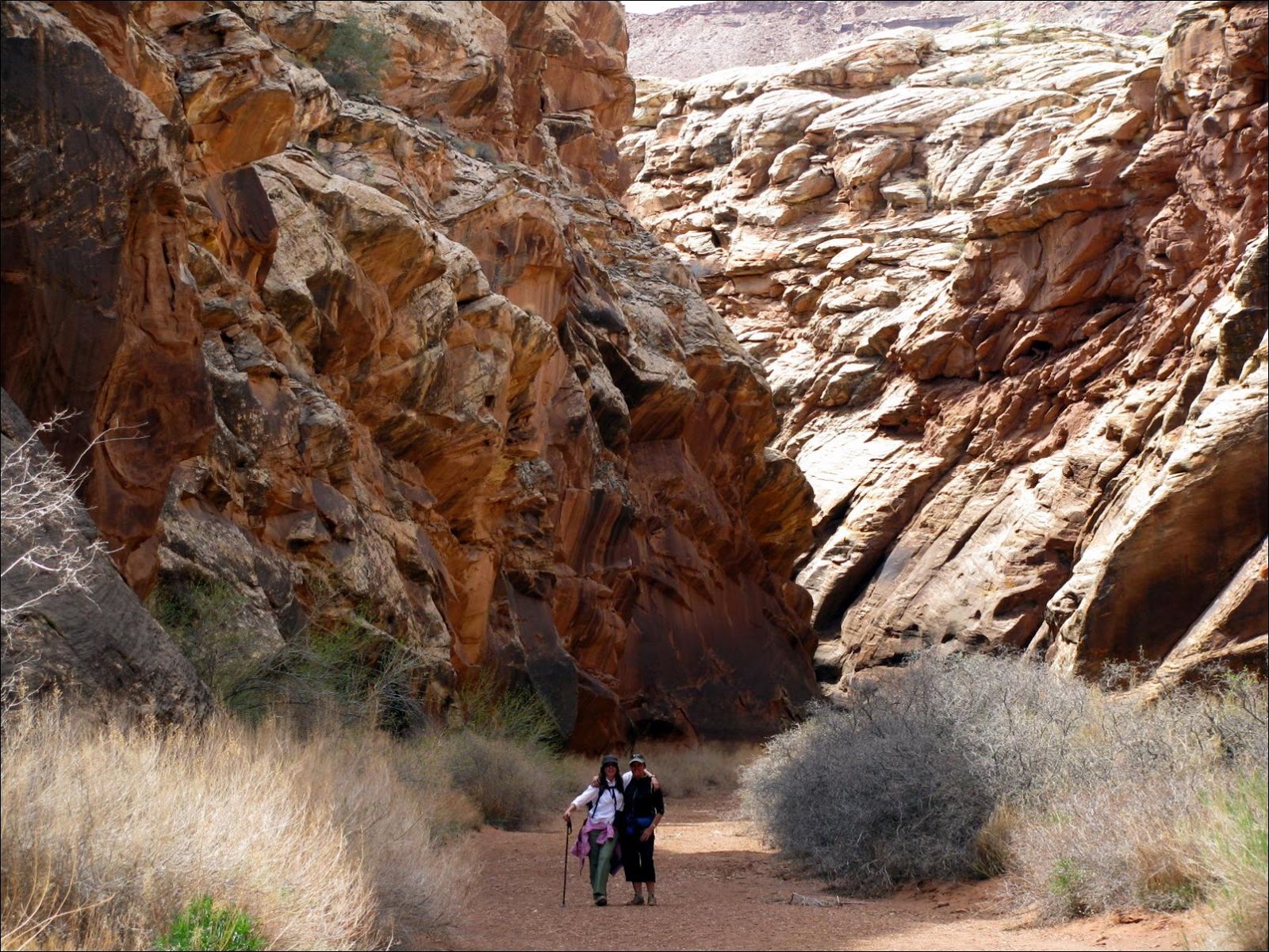 Canyonlands Green River Canoe Trip 2009: Anderson Bottom Hike