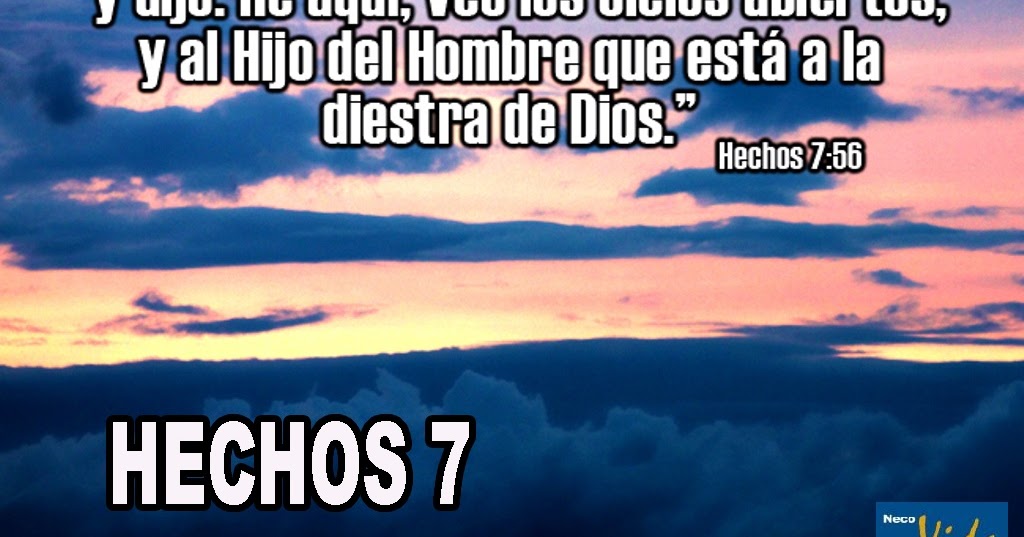 Neco Vida: Leyendo... Hechos capítulo 7