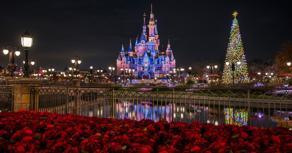 Disney Photoblography