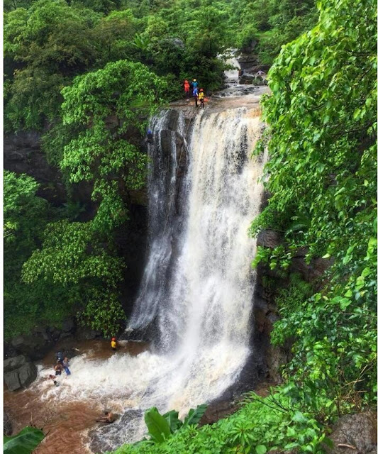 Nature Knights: Bhivpuri Waterfall Trek and Rappelling
