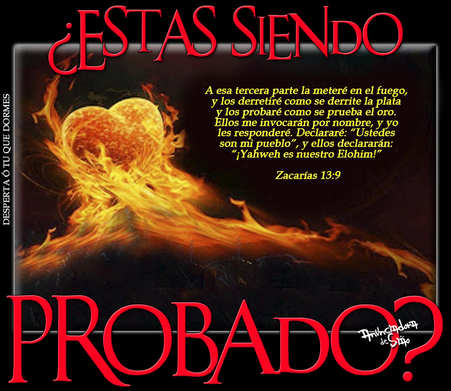 ¿ESTÁS SIENDO PROBADO? | Despierta tú que duermes...