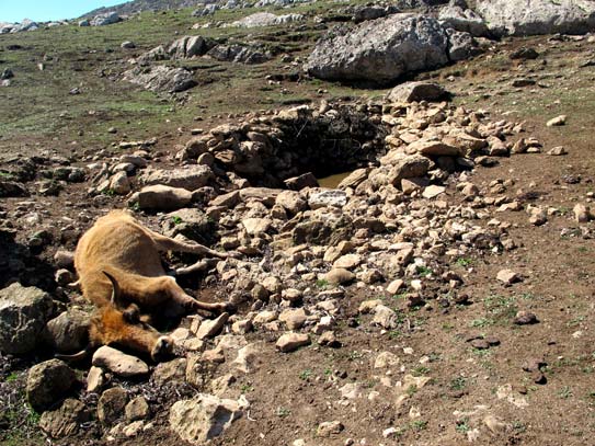 SENDERISMO EN EL RIF/RANDONNÉES DANS LE RIF: DHAR HAJAR Y FAHS LEMHAR ...