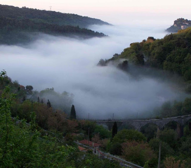 ¿ QUE ES LA NEBLINA? | Poesias Cuentos y Prosas para el mundo