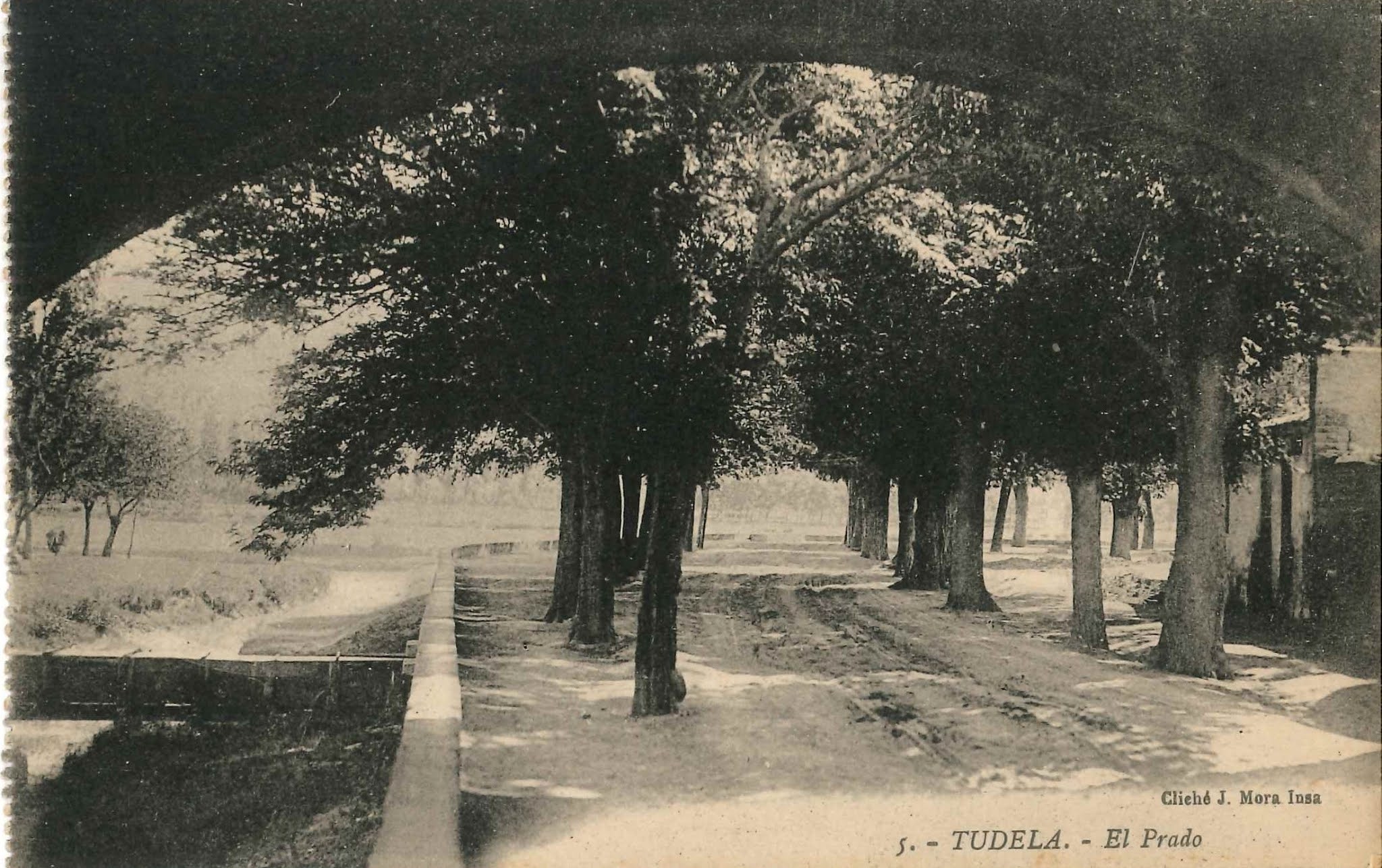 Centro de Estudios Borjanos: Comienzan a llegar las postales de Tudela