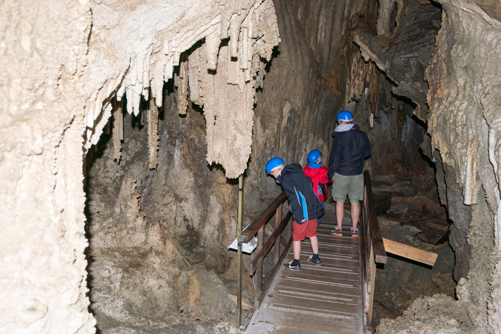 On the way to Golden Bay {Ngarua Caves and the drive to Pakawau} | the ...